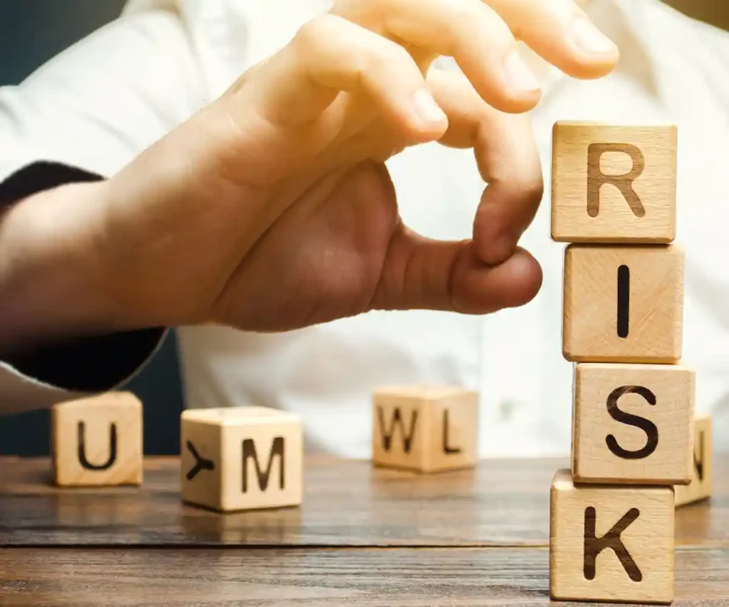 Risk Management Audit | Auditing
